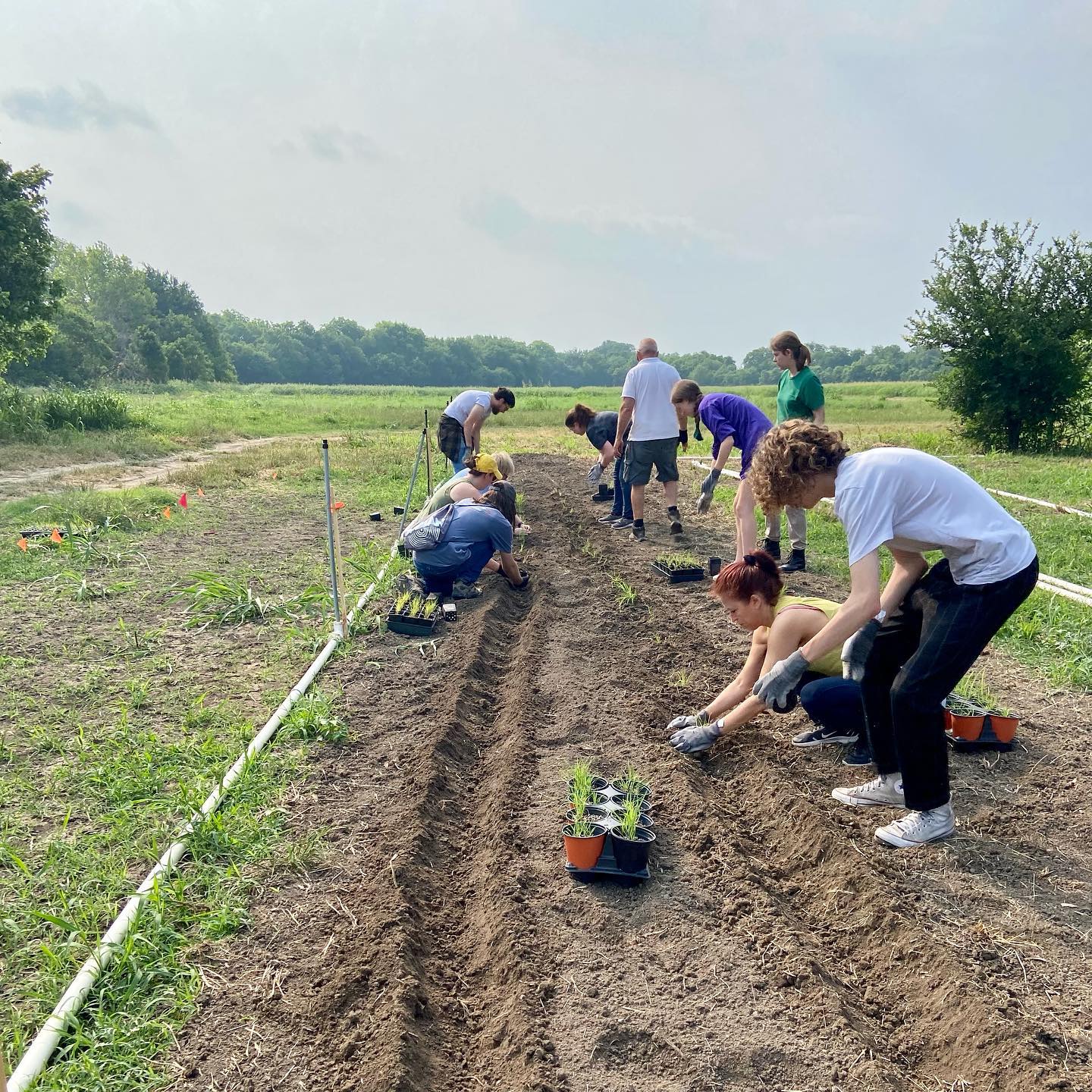 The 2023 Beautify Texas Award Winners - Organizational Categories ...