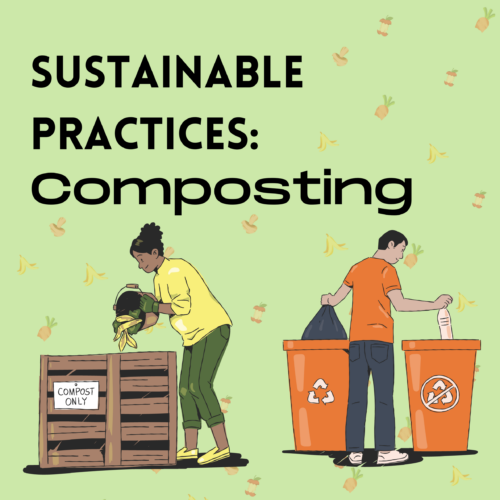 Sustainable Practices: Composting - KTB Blog