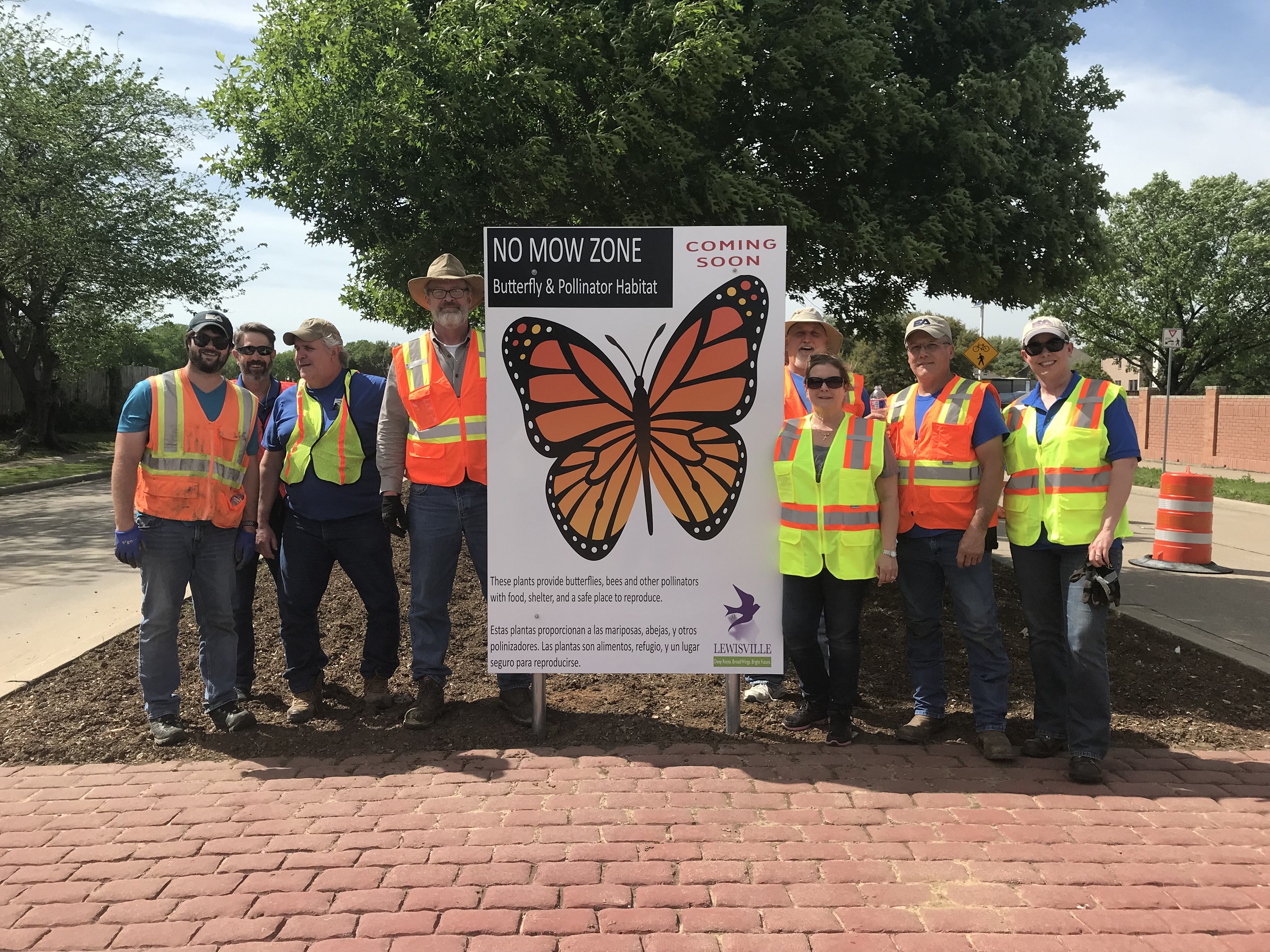 Creating a Pollinator-Friendly Habitat: Simple Steps to Support Our ...